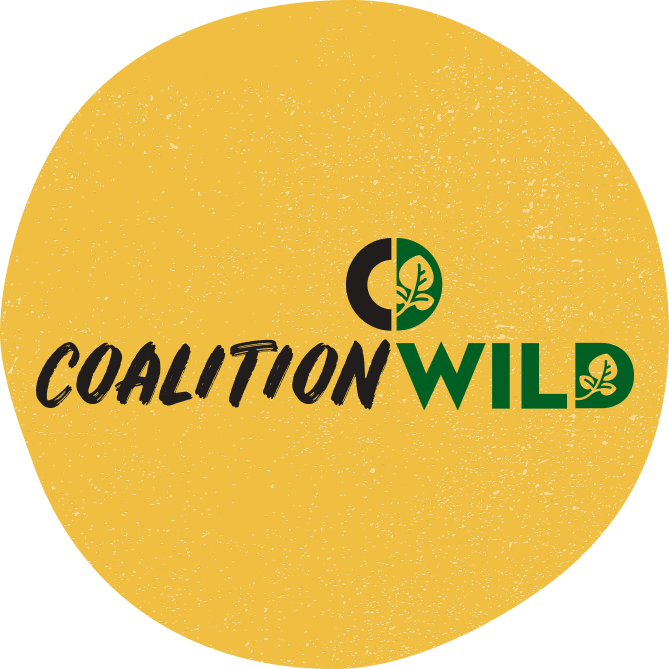 Capacity Building – The Iris Project